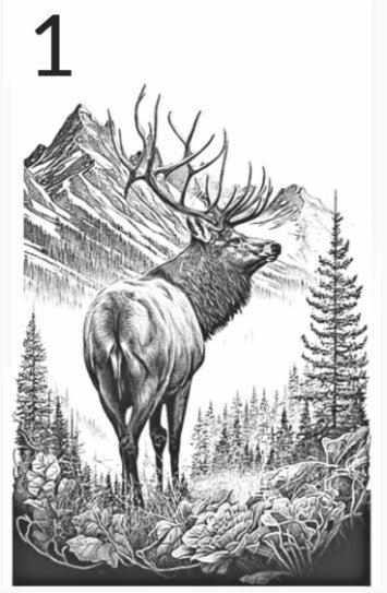 "NOT FOR SALE" SAMPLE LASER ENGRAVING ELK OPTIONS – SMK Woodworking